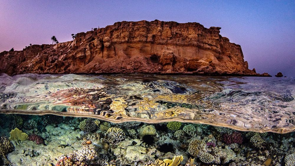 Tabuk | Saudi Arabia ABC