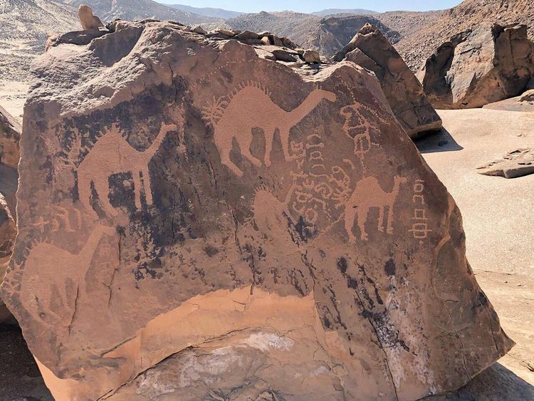 Tabuk | Saudi Arabia ABC